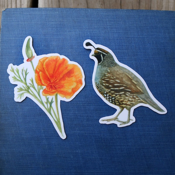 Quail Stickers - Etsy