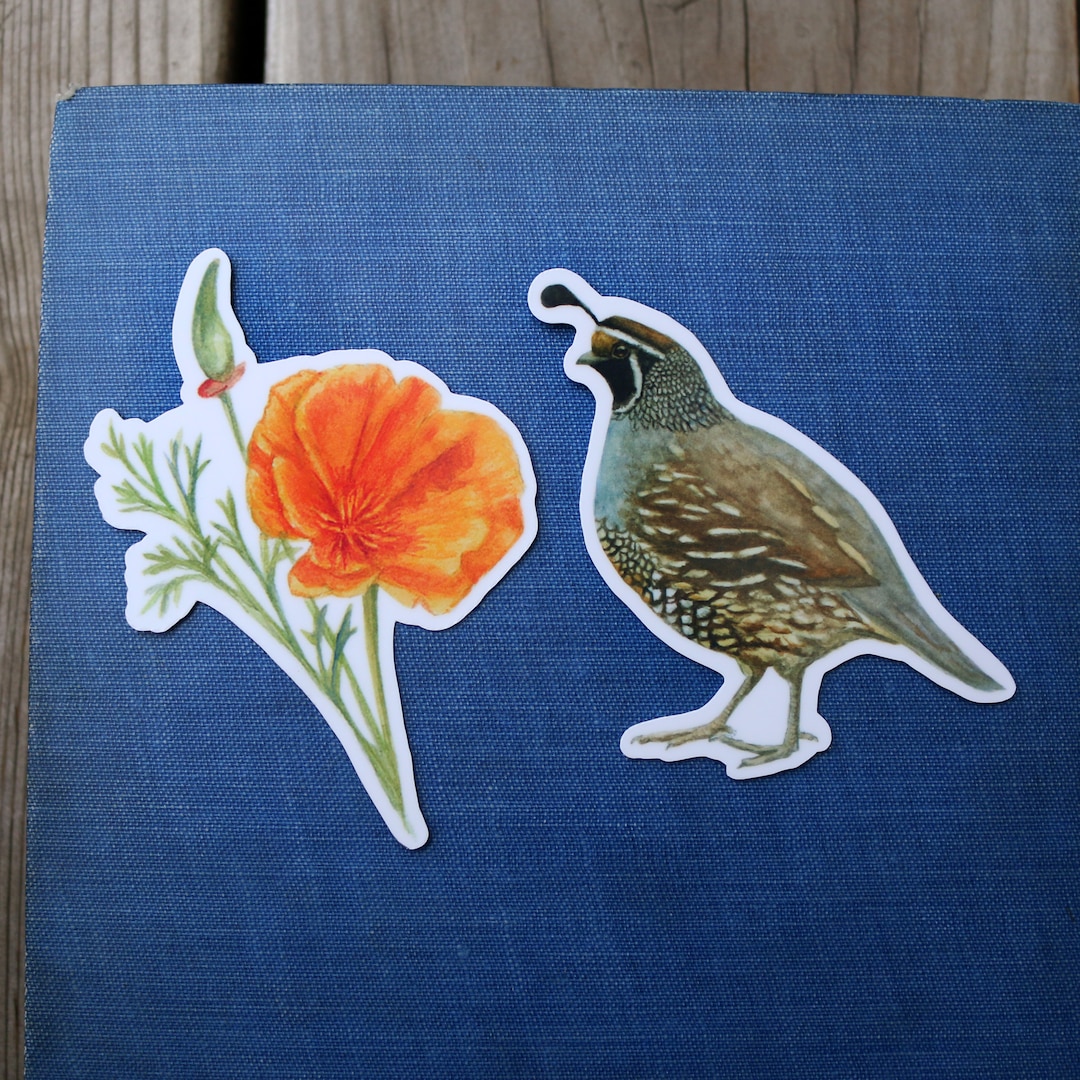 California Poppy & Quail Sticker Set: Two Vinyl Stickers - Etsy