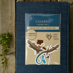 California Lizards: Two Vinyl Stickers Western Skink and - Etsy