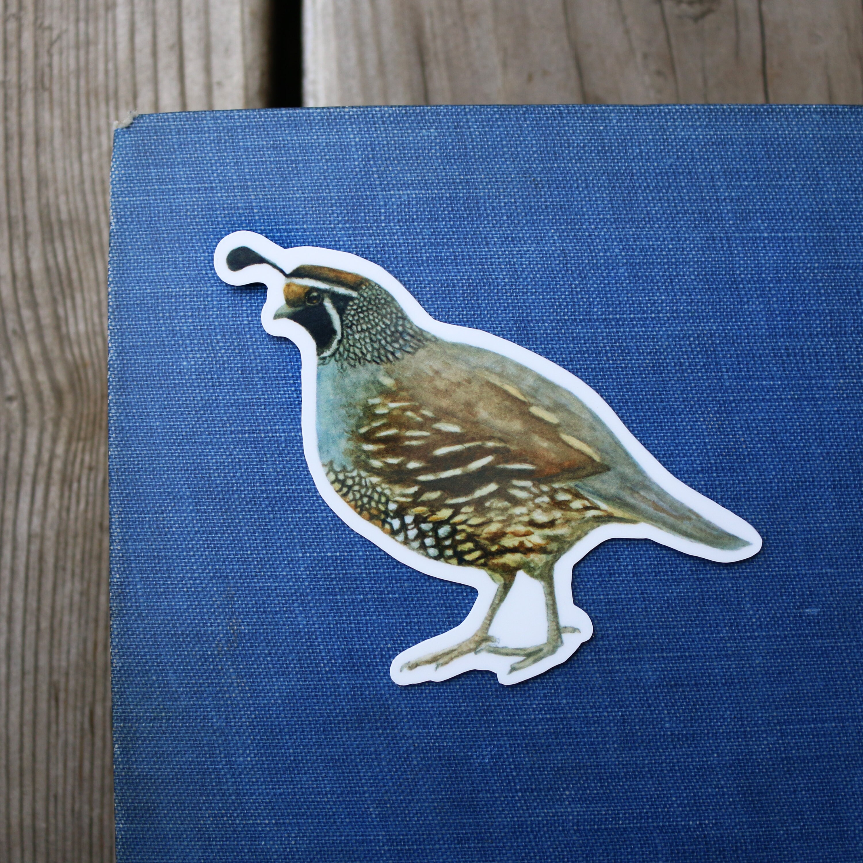 California Poppy & Quail Sticker Set: Two Vinyl Stickers - Etsy