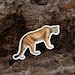 California Cats Sticker Set: Two Vinyl Stickers Bobcat - Etsy