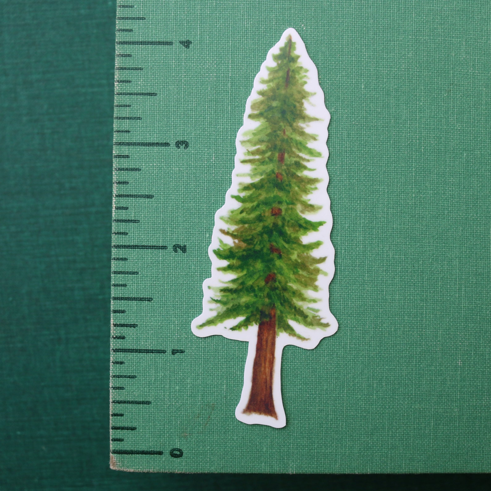 California Redwood Forest: Three Vinyl Stickers, Coastal Redwood ...
