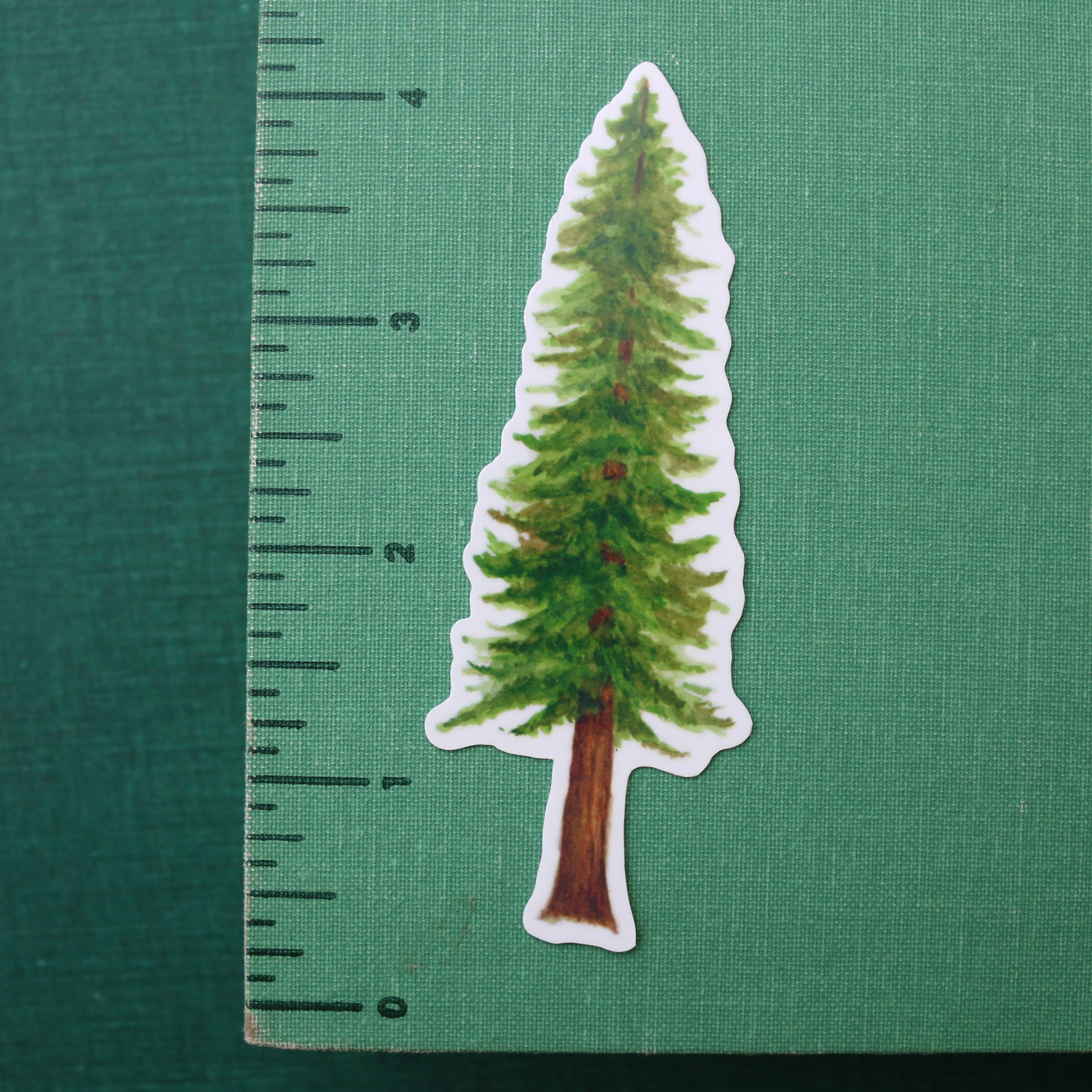 California Redwood Forest: Three Vinyl Stickers Coastal - Etsy