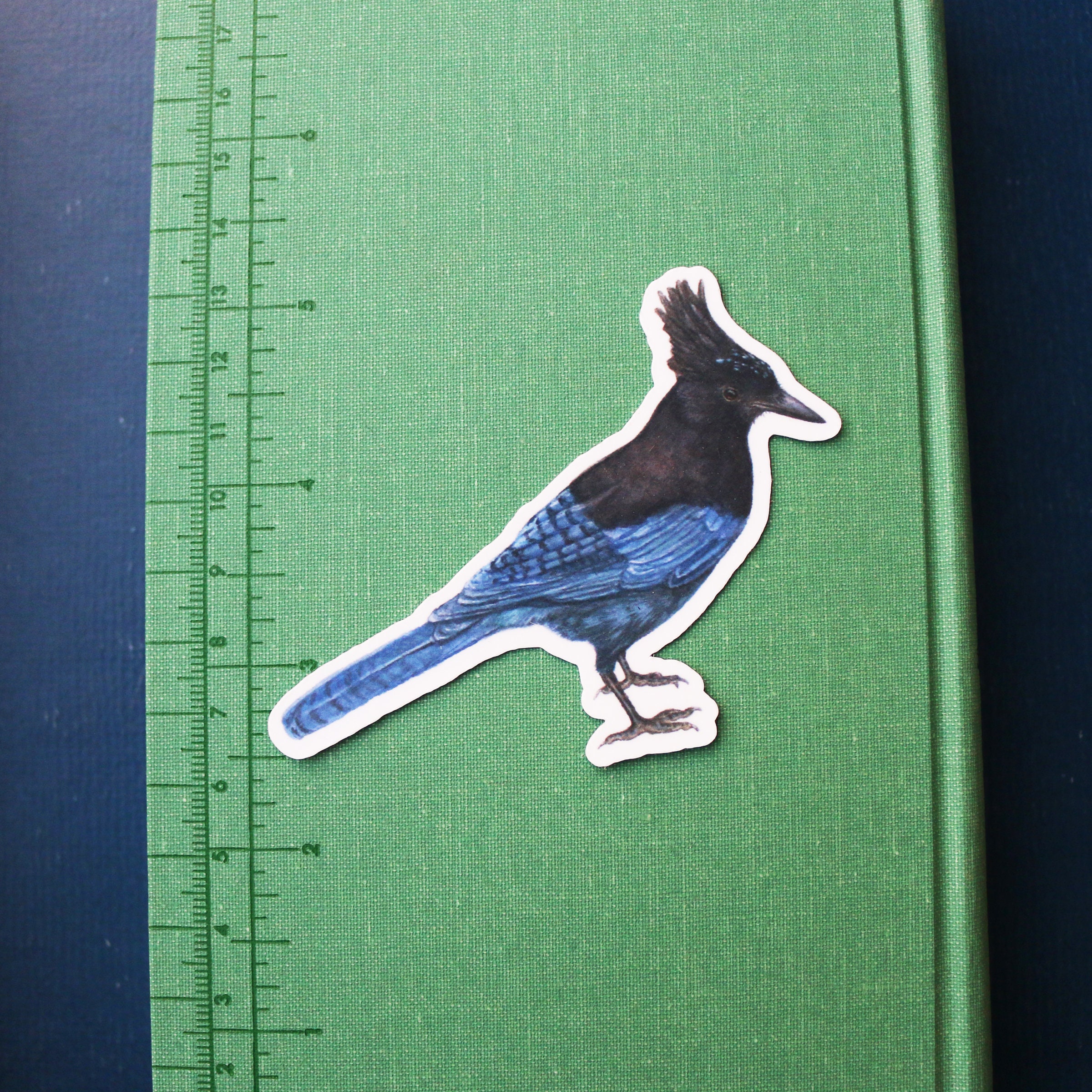 Corvid Stickers: Three Vinyl Stickers Scrub Jay Yellow - Etsy