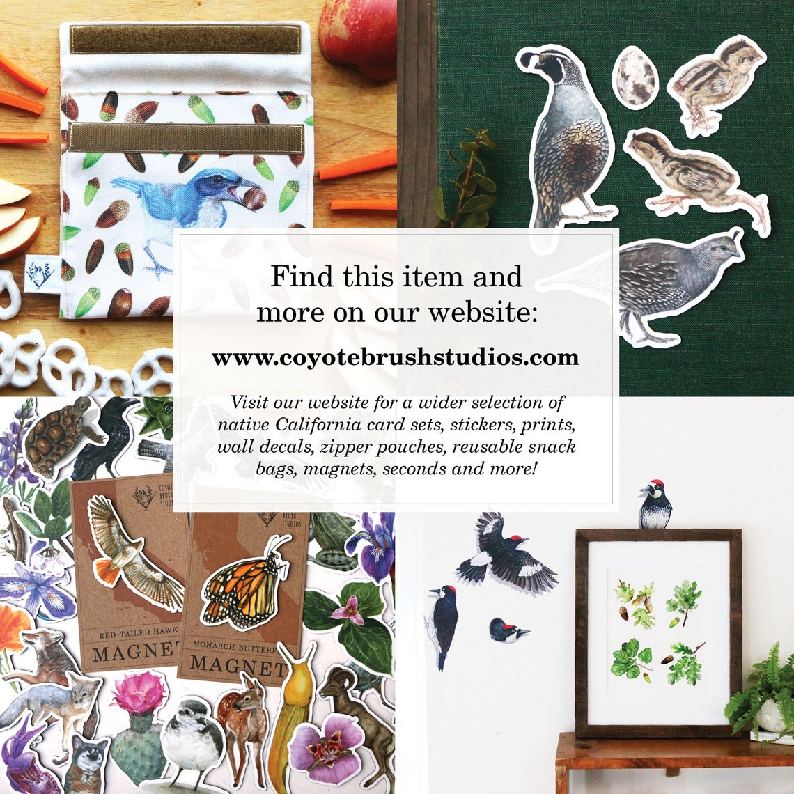 California Poppy & Quail Sticker Set: Two Vinyl Stickers - Etsy