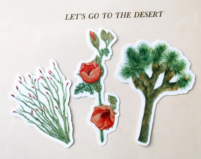 Joshua Tree Stickers Ocotillo Desert Apricot Mallow - Etsy