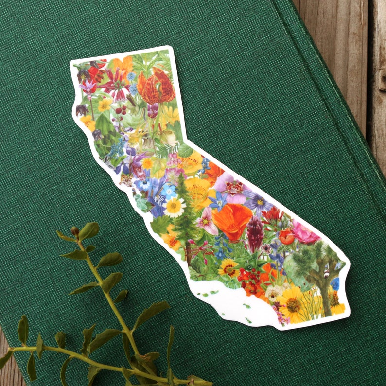 California Flora Vinyl Sticker | Etsy