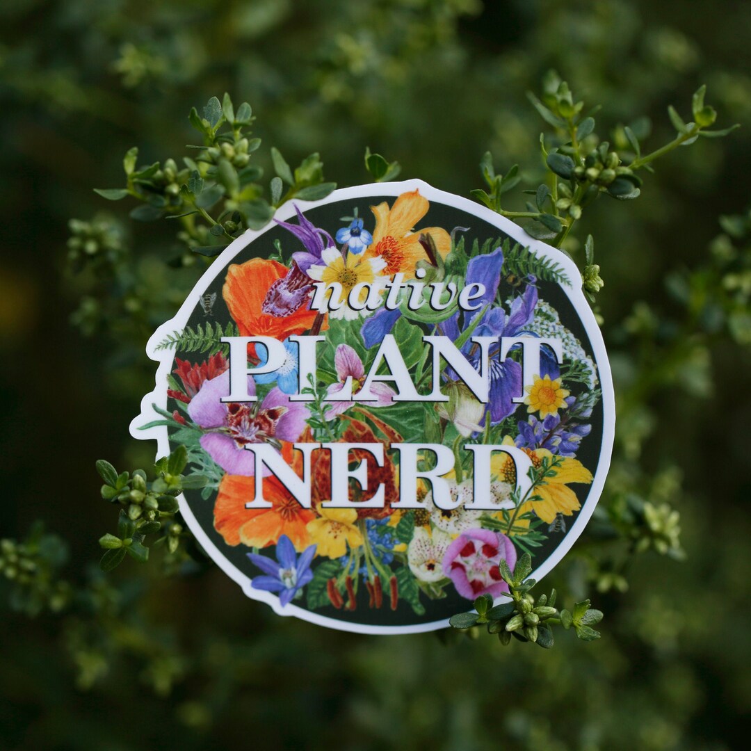 California Native Plants Sticker - Etsy