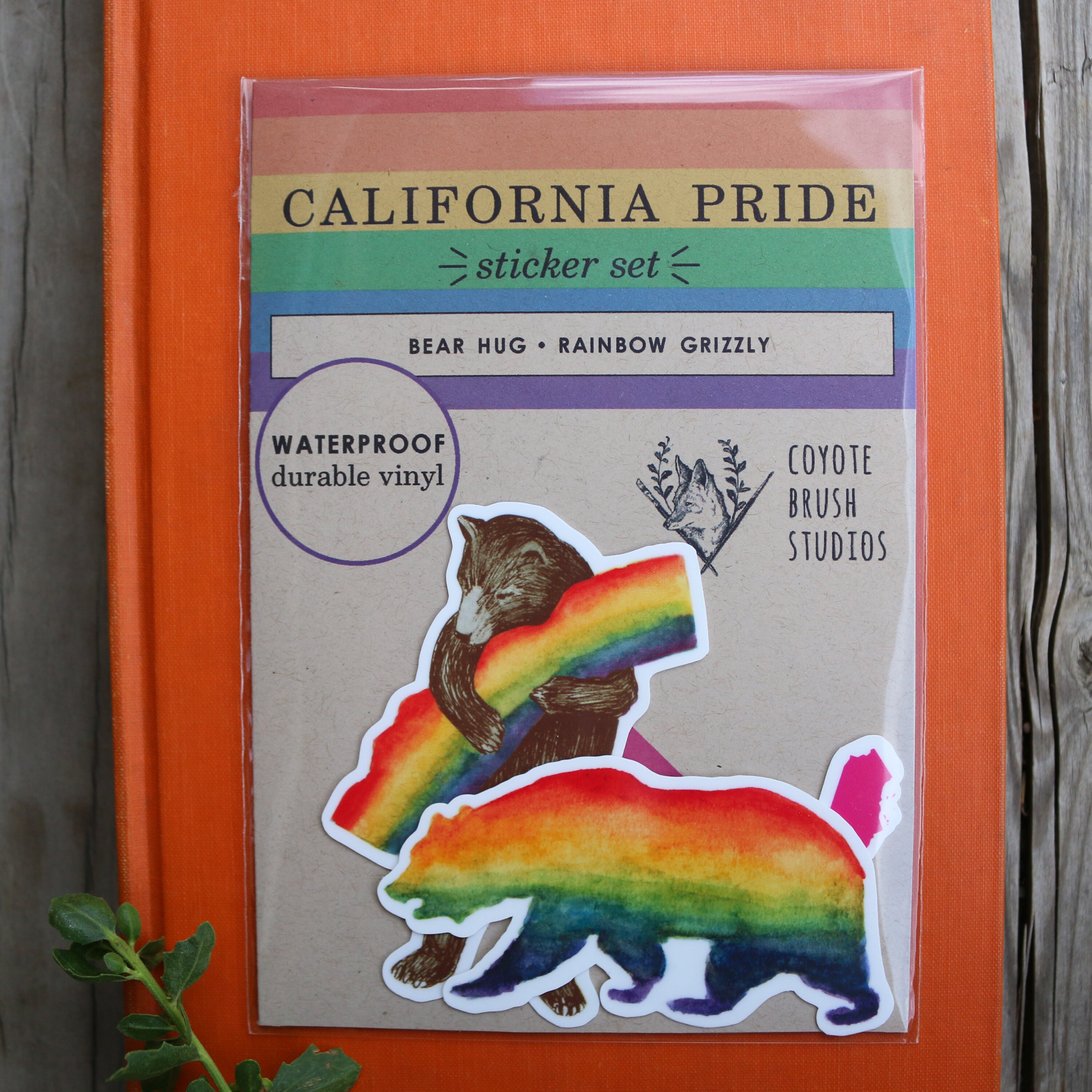 California Pride Sticker Set: Two Vinyl Rainbow Bear Stickers - Etsy