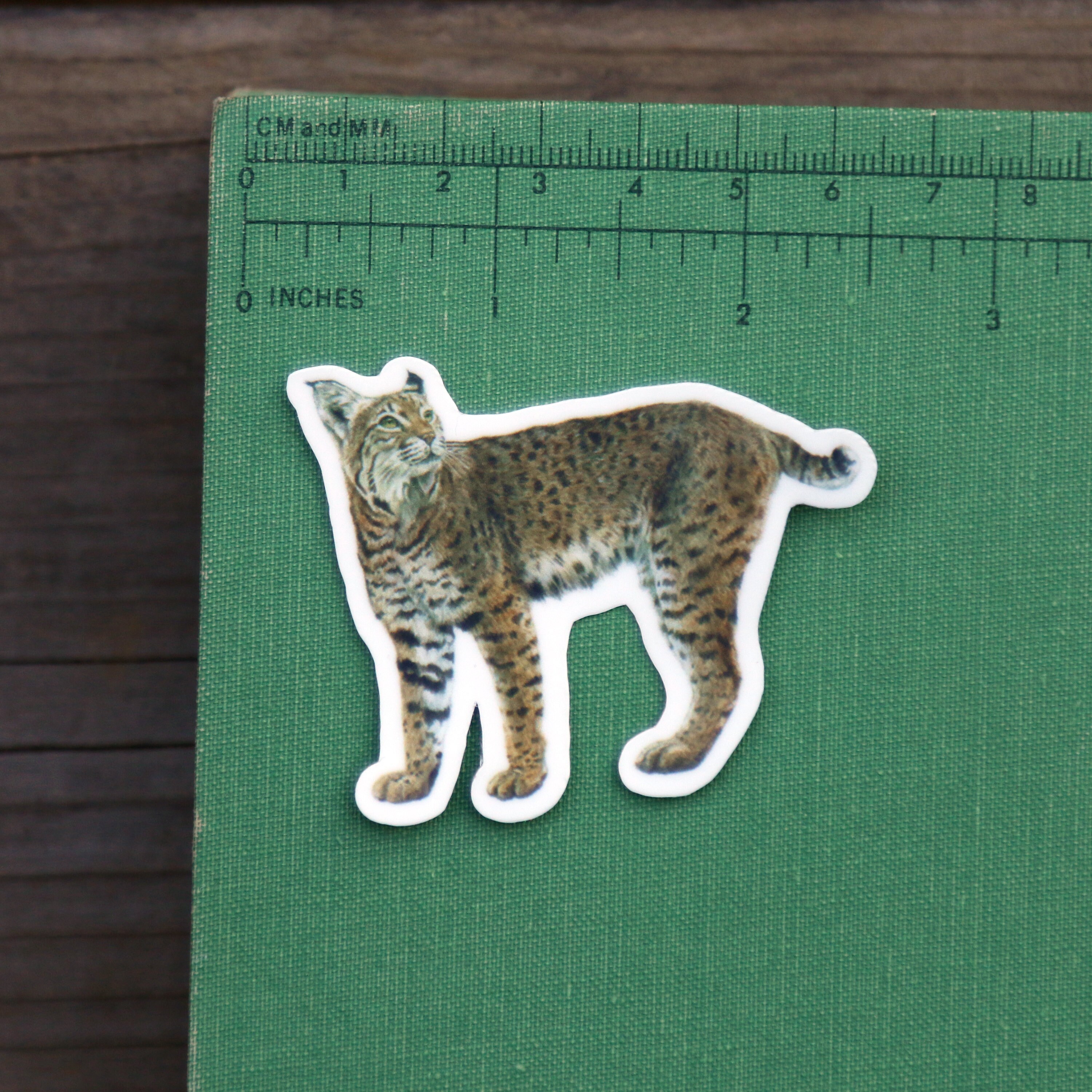 California Cats Sticker Set: Two Vinyl Stickers Bobcat - Etsy