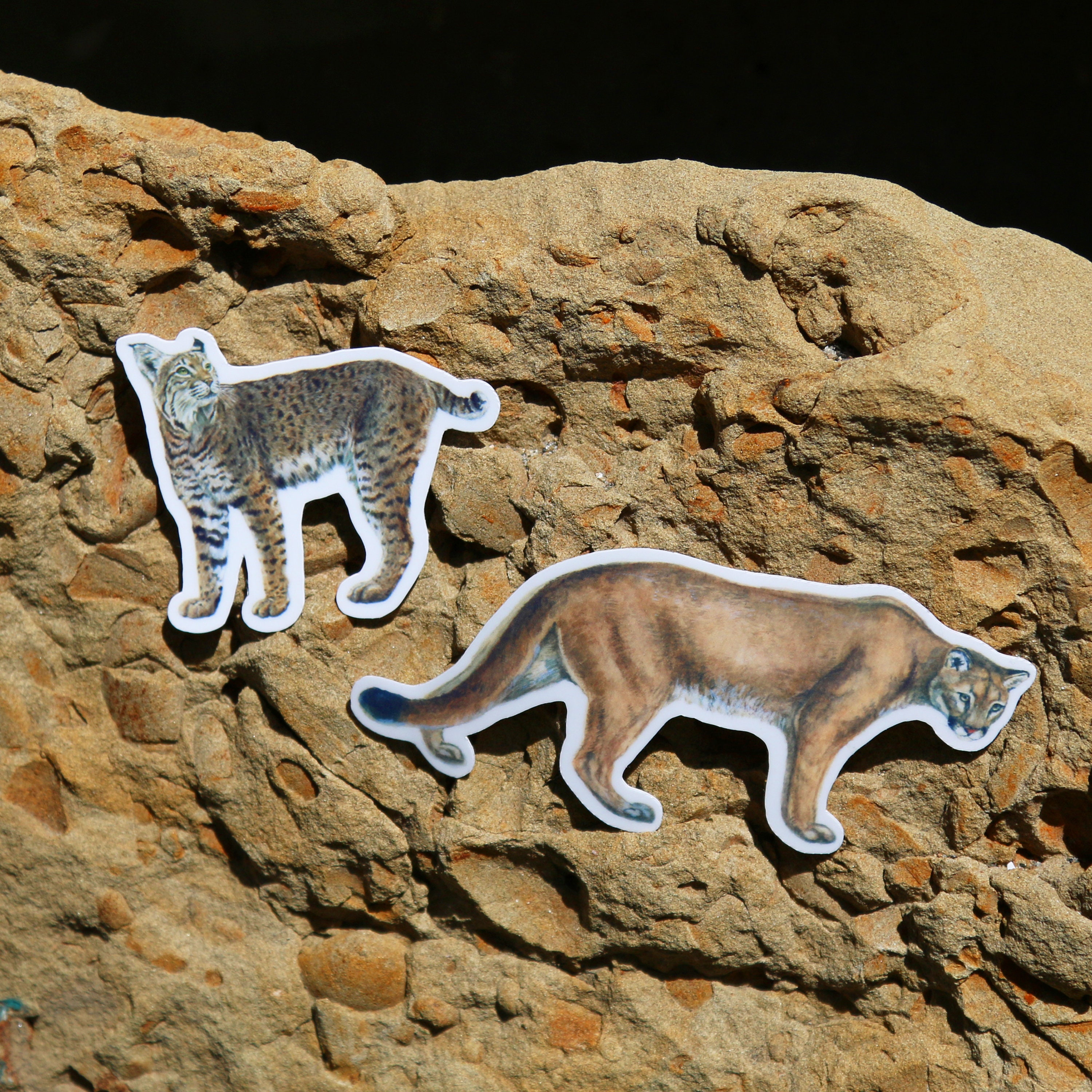 California Cats Sticker Set: Two Vinyl Stickers Bobcat - Etsy