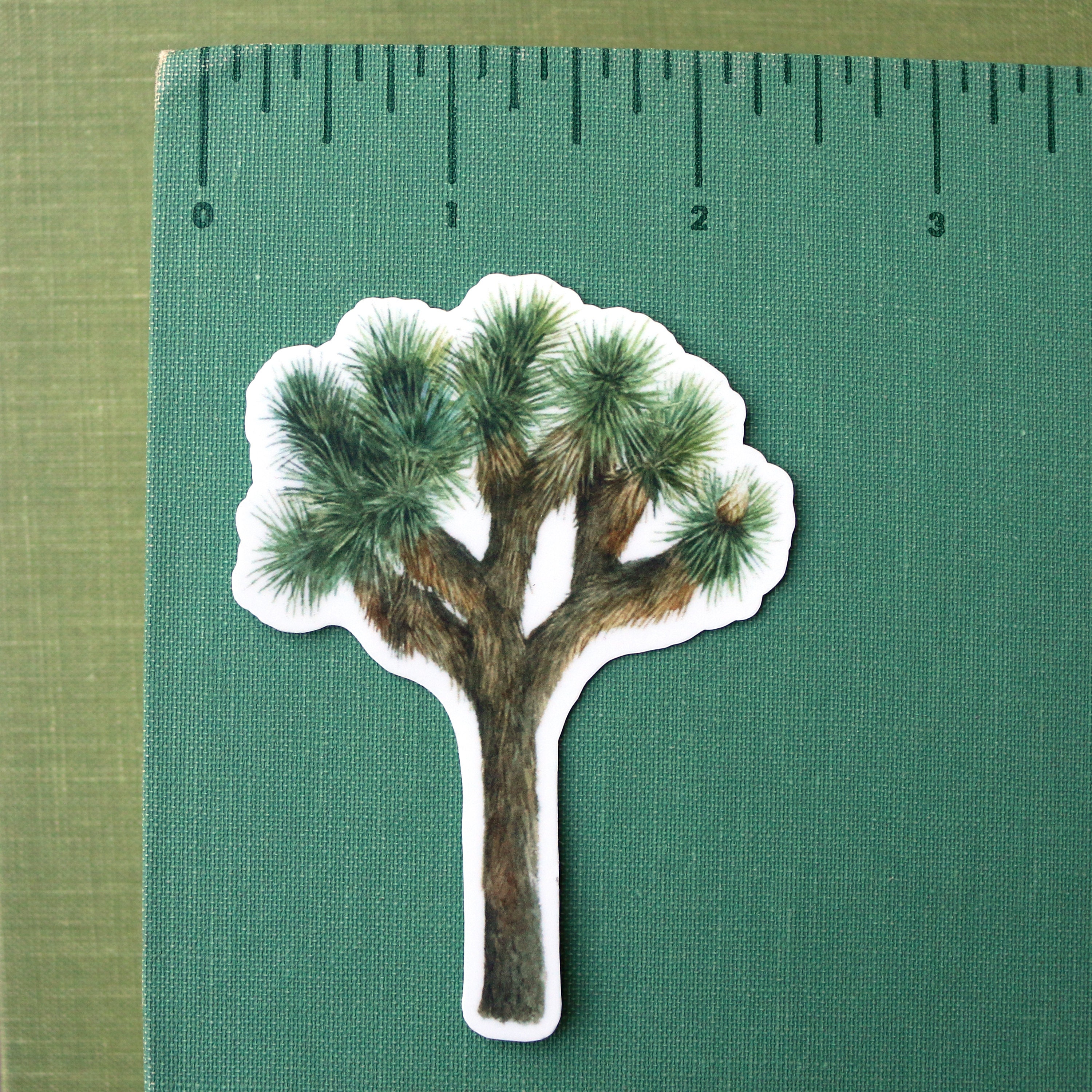 Joshua Tree Stickers Ocotillo Desert Apricot Mallow | Etsy