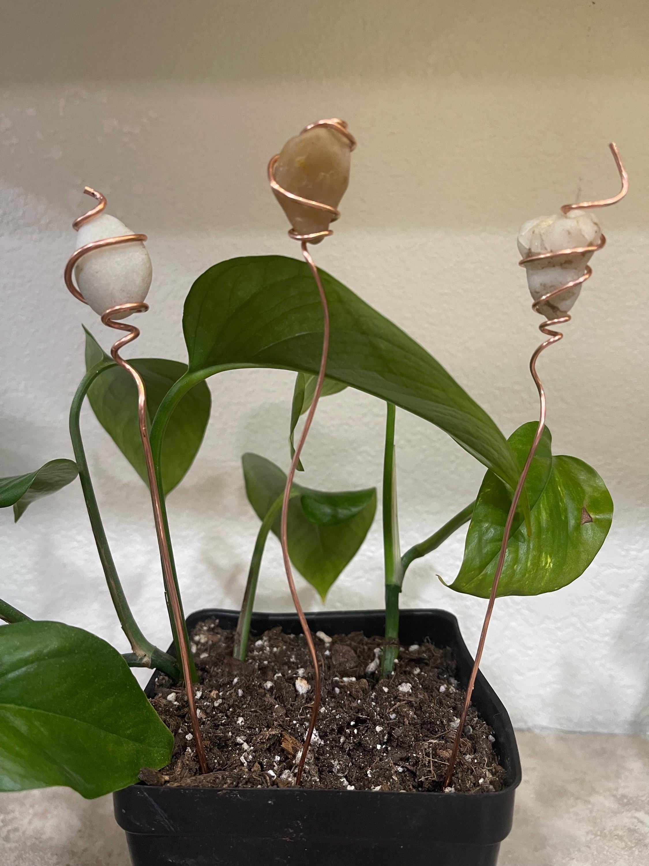 3-pack Mini Copper Plant Stakes for Electroculture or Decoration - Etsy