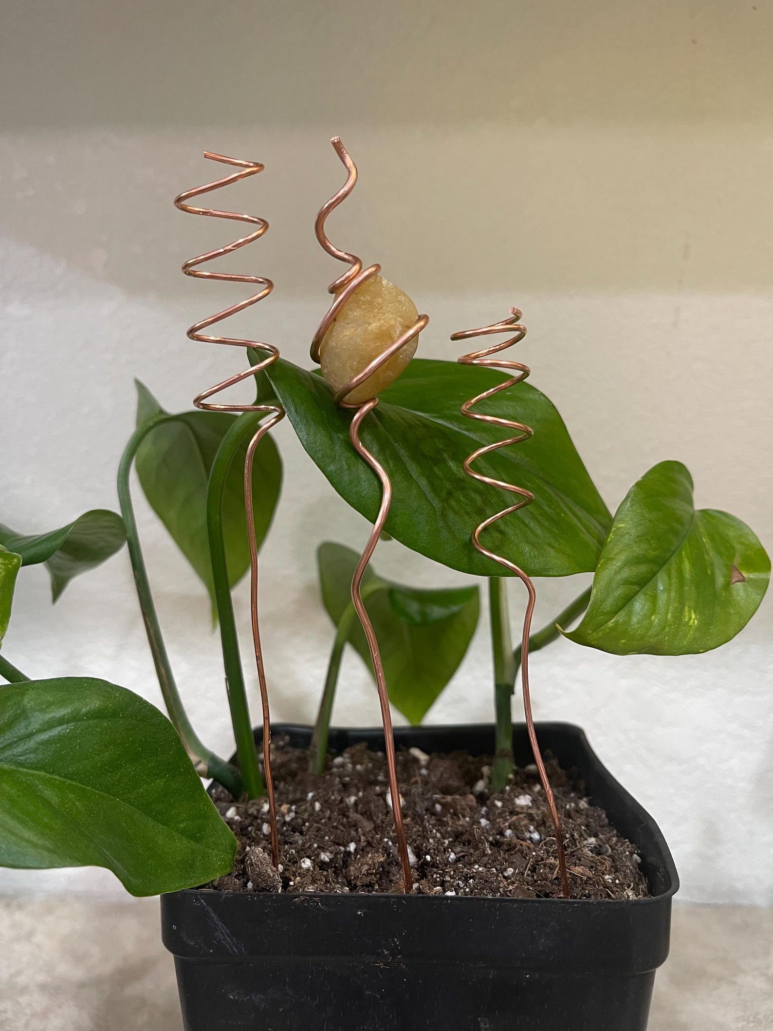 3-pack Mini Copper Plant Stakes for Electroculture or Decoration - Etsy