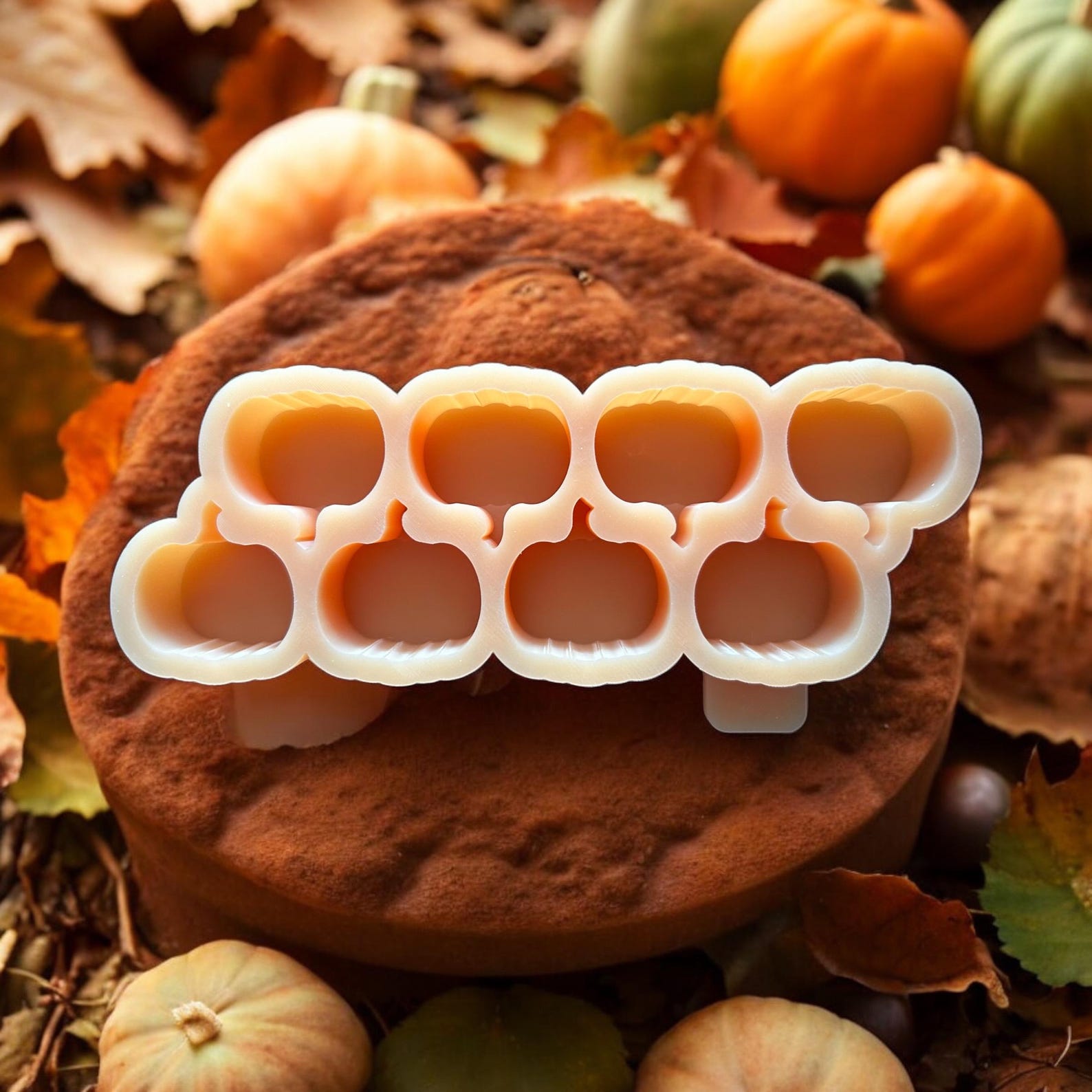 Pumpkin 8 Cavity Wax Melt Mold - Etsy