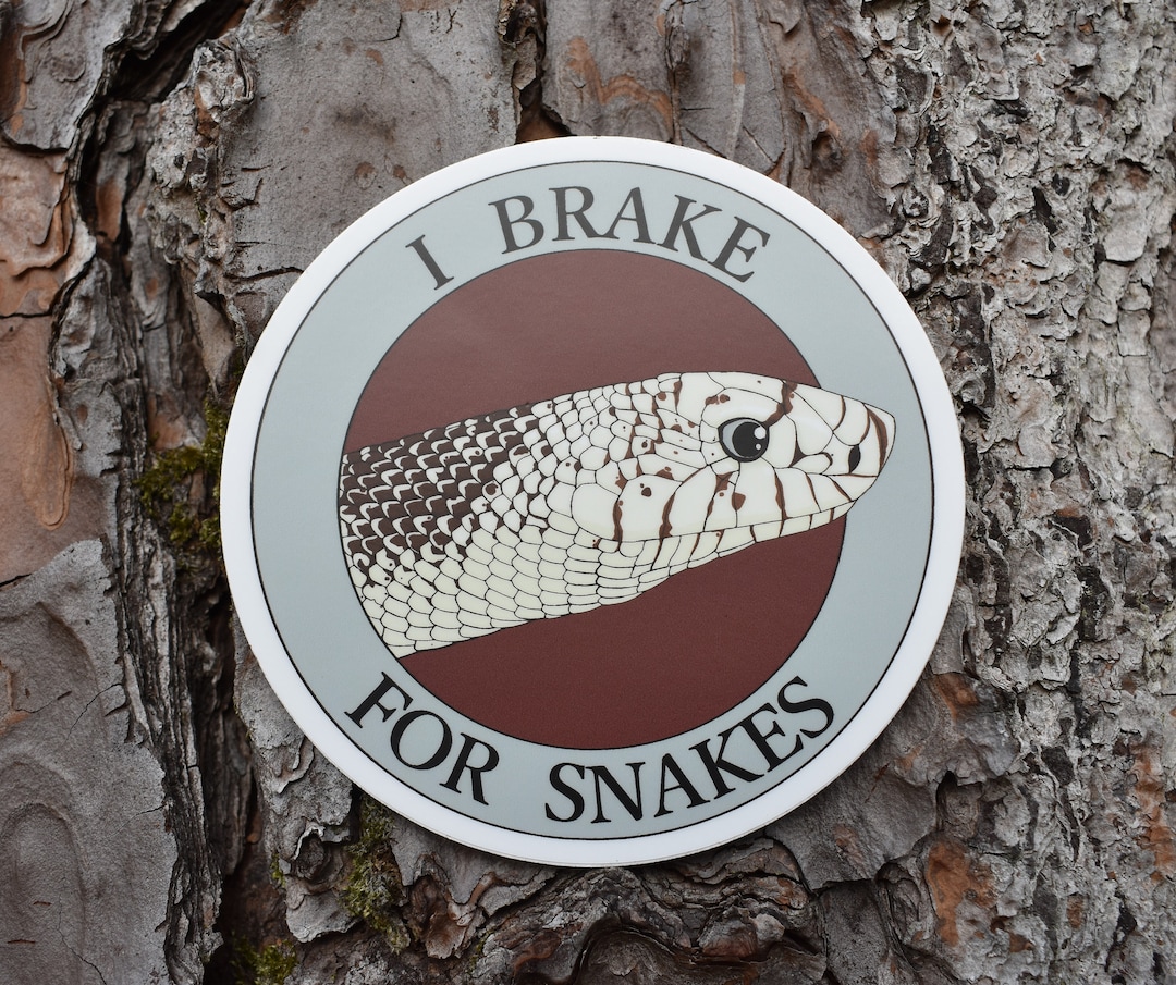I Brake for All Kinds of Snakes - Etsy