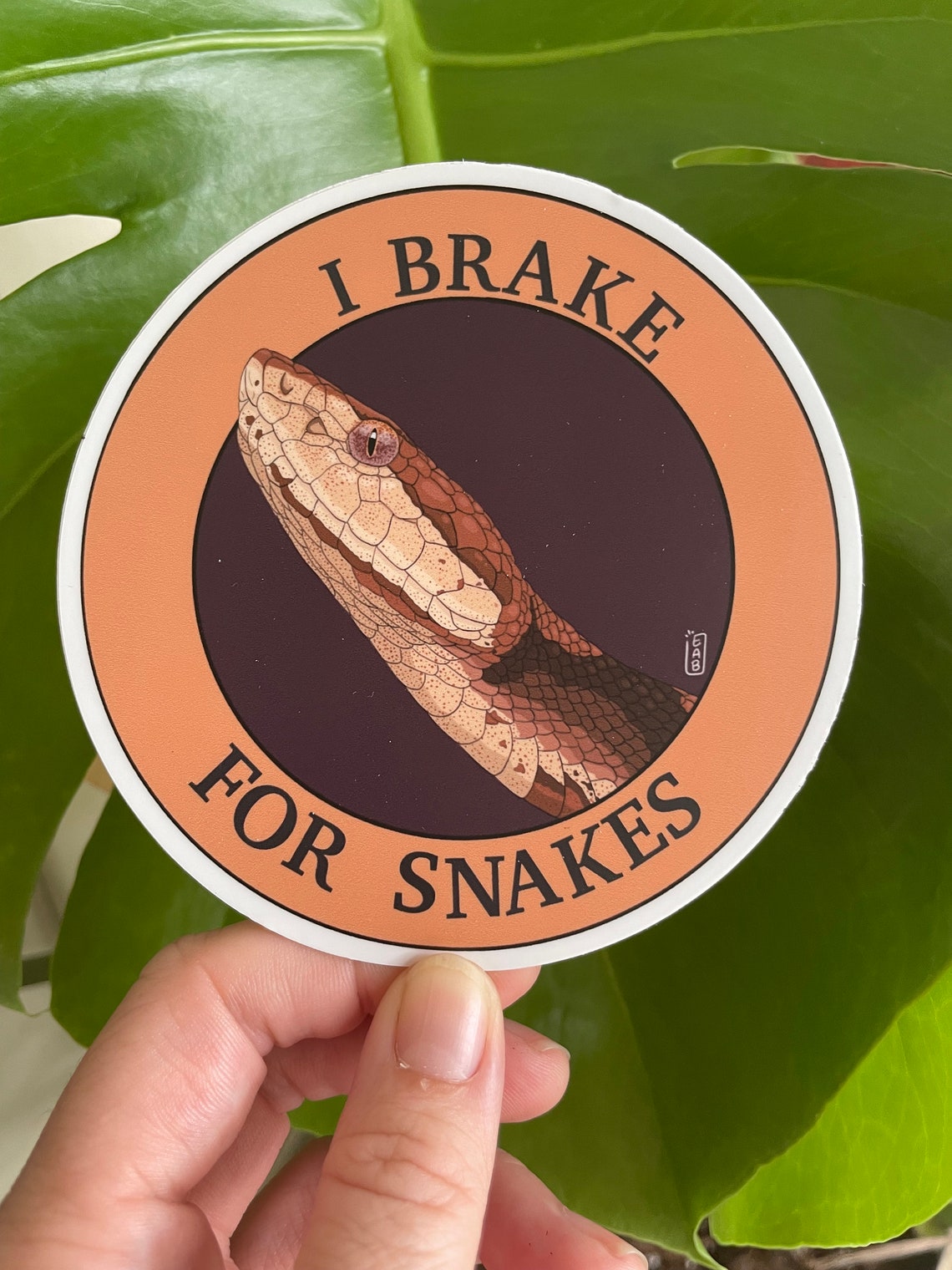 I Brake for All Kinds of Snakes - Etsy