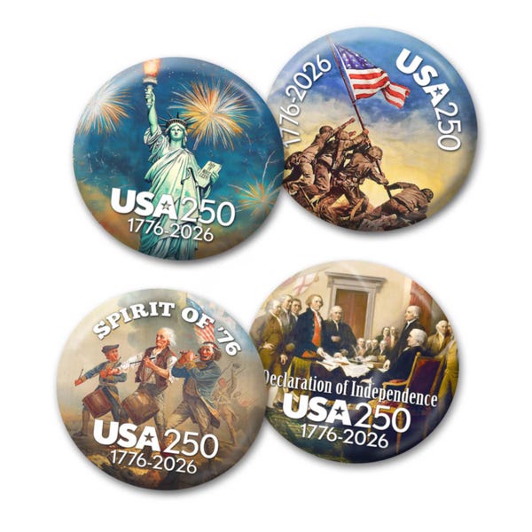 America 250 Lapel Pin - Etsy