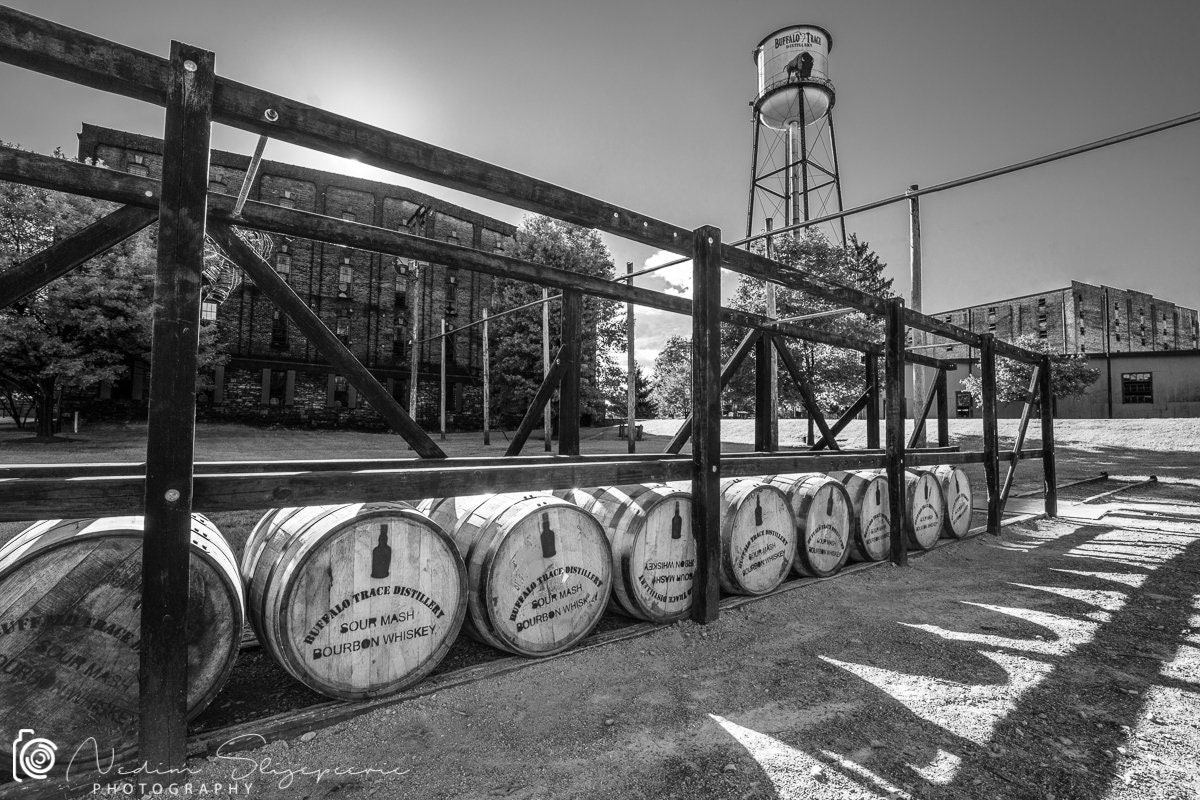 Fine Art Print of Bourbon Distillery Whiskey Canvas and Fine | Etsy