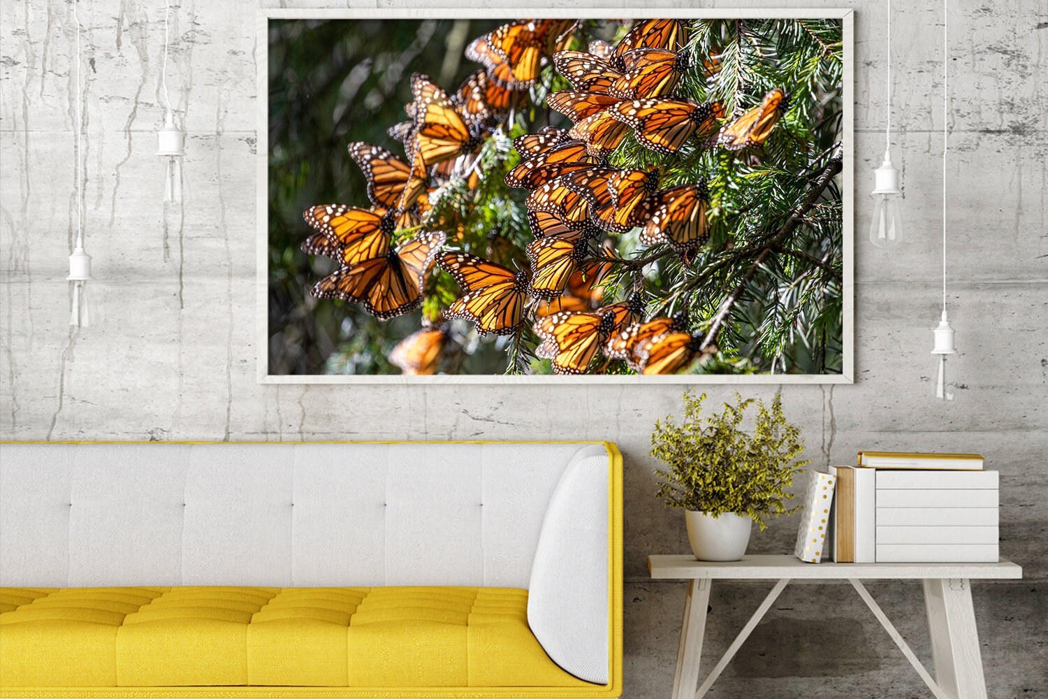 Monarch Butterfly Horizontal Fine Art Print Photo Art Print - Etsy