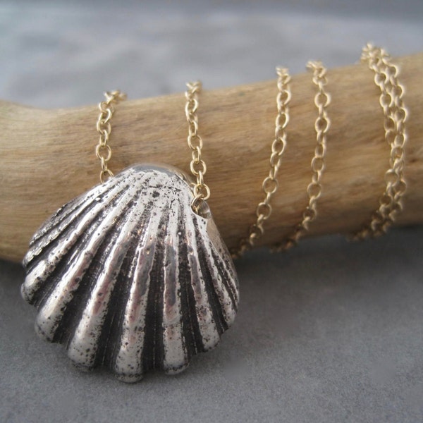 Large Sunrise Shell - Etsy