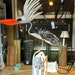 Aubrey the PVC Pelican With Acrylic Eyes and Stand Yard Art Sculpture ...