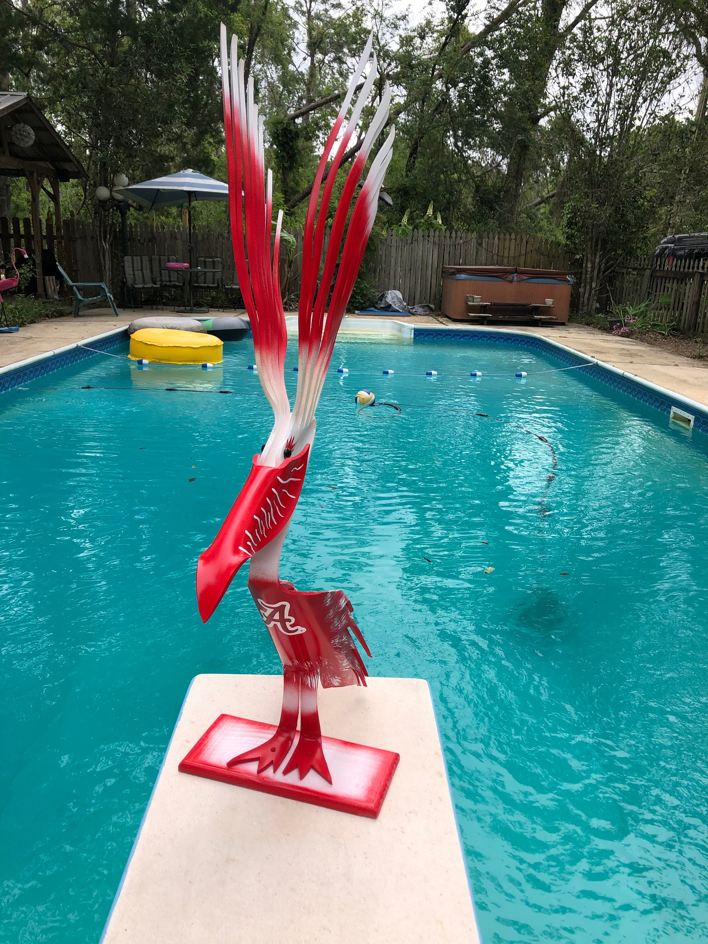 Sammy Showing His Alabama Colors on Stand - Etsy