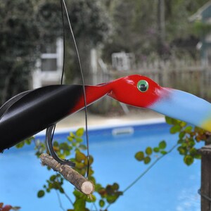 Toucan Bird With Swing - Etsy