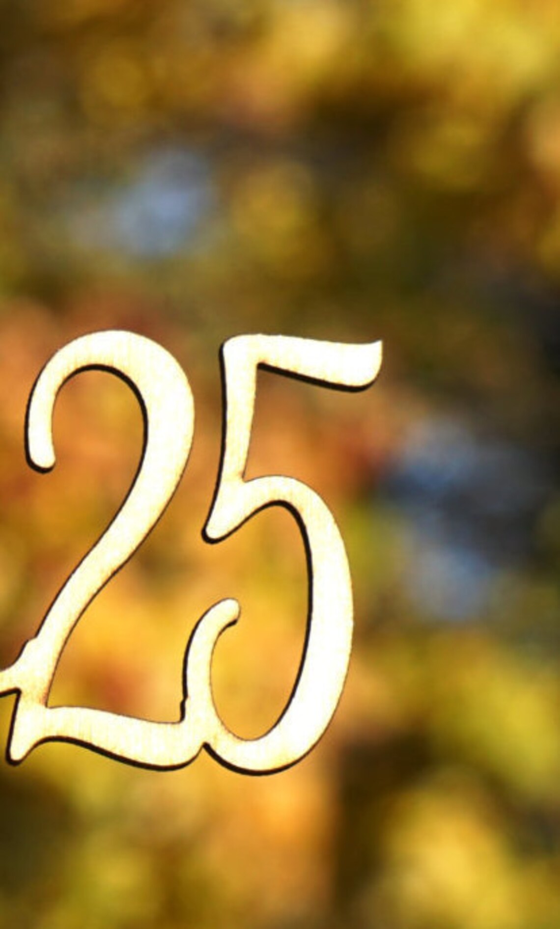 Cake Topper - 25 Personalised Number Any Number Cake Topper Wooden ...