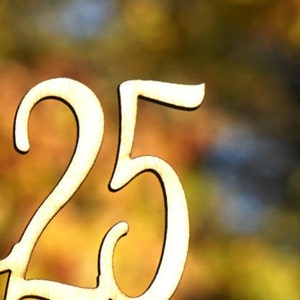 Cake Topper - 25 Personalised Number Any Number Cake Topper Wooden ...
