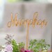 12 Custom TABLE NAMES Wooden Custom Wedding Table Name Topper ...