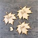 Maple Leaves Place Cards Thanksgiving Place Cards Laser Cut Leaves ...