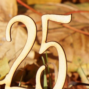 Cake Topper - 25 Personalised Number Any Number Cake Topper Wooden ...