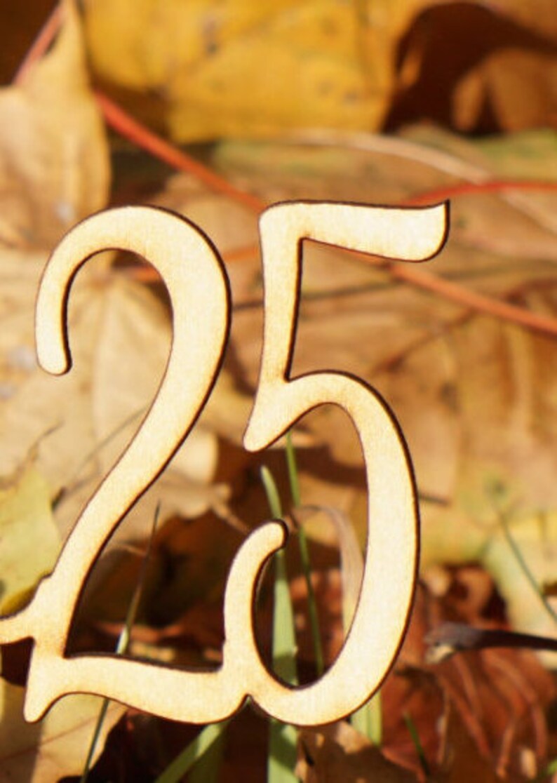 Cake Topper - 25 Personalised Number Any Number Cake Topper Wooden ...