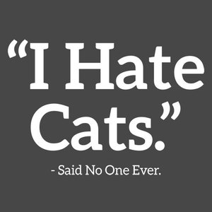 I Hate Cats Said No One Ever Feline Love With This Playful Charm of ...