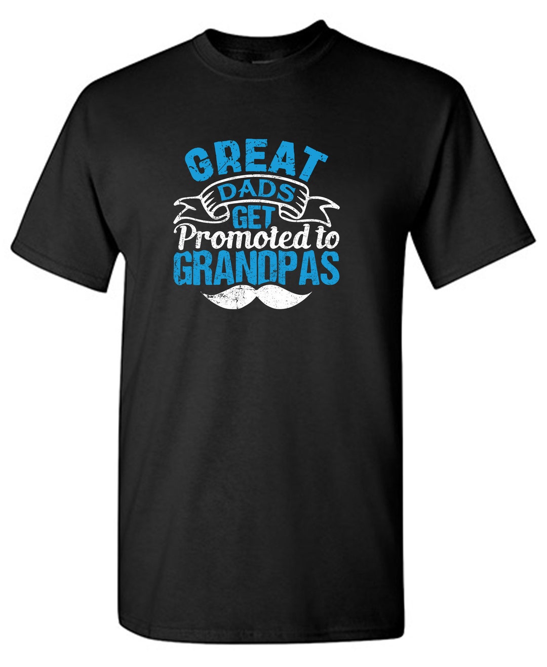 Great Dads Get Promoted To Grandpas Sarcastic Humor Graphic Tee T