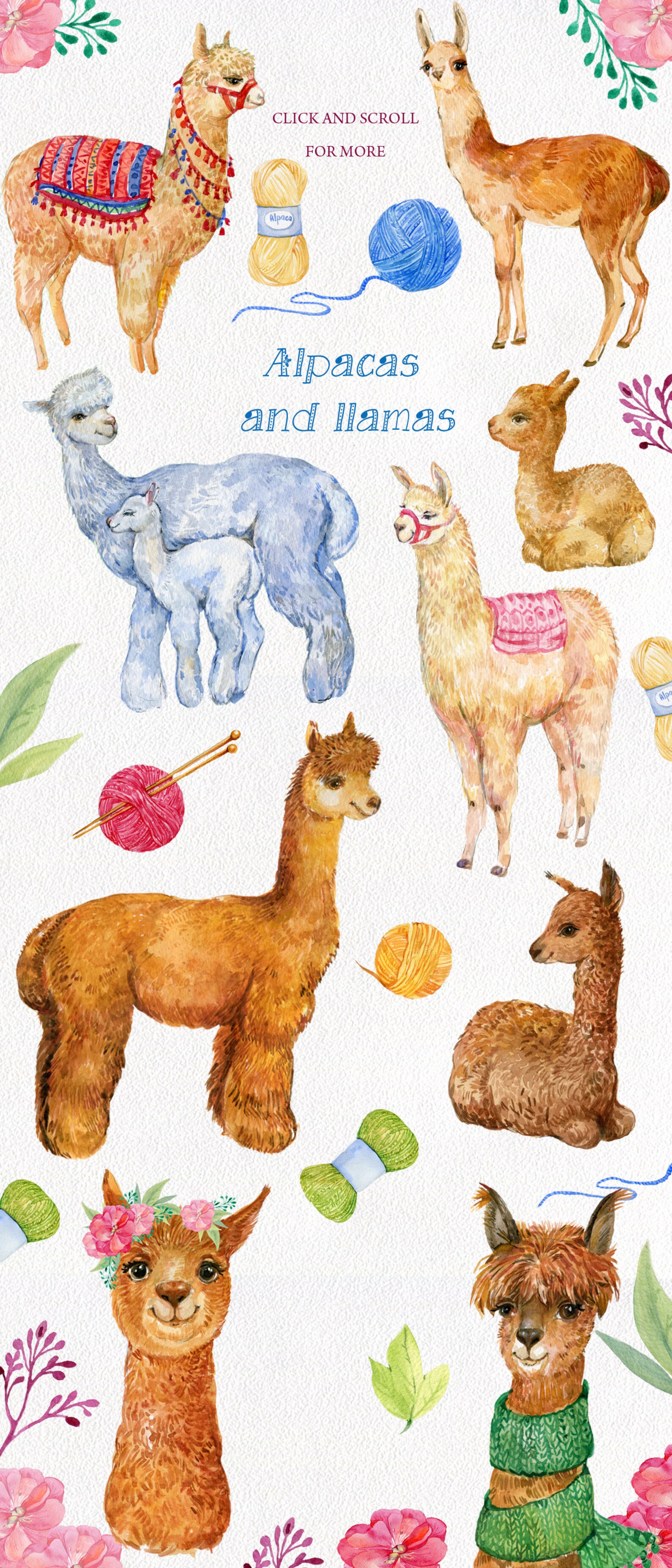 Alpacas and Llamas Watercolor Animal Clipart Digital Clipart - Etsy