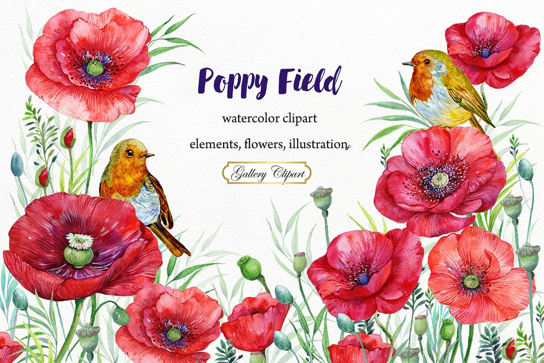 Red Poppy Clipart Flowers Poppies Watercolor Clipart 34 Elements 3 ...
