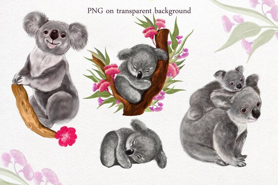 Embellishments Koalas Clip Art,Koala Bear,Animals Clipart Animal Clip ...