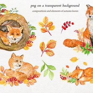 Fox Animals Clipart .watercolor Painting. Baby Fox, Forest Animals ...