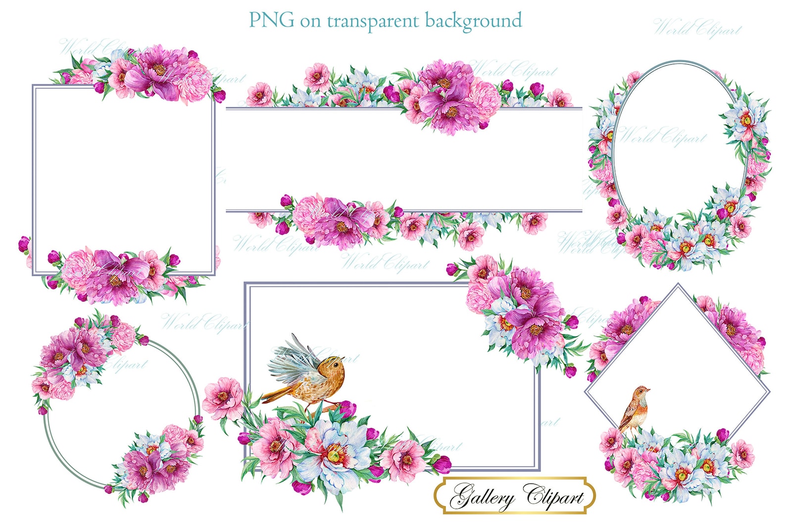 Peonies PNG Flower Elements Watercolor Clipart floral Frame - Etsy