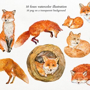 Fox Animals Clipart .watercolor Painting. Baby Fox, Forest Animals ...