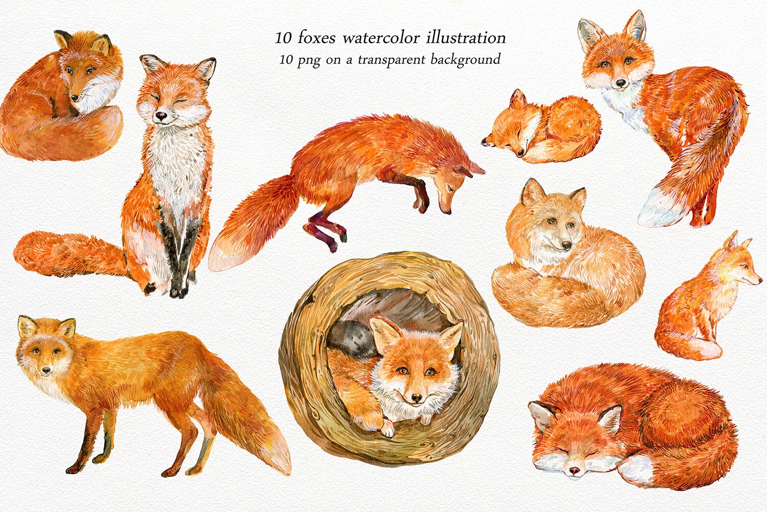 Fox Animals Clipart .watercolor Painting. Baby Fox Forest - Etsy