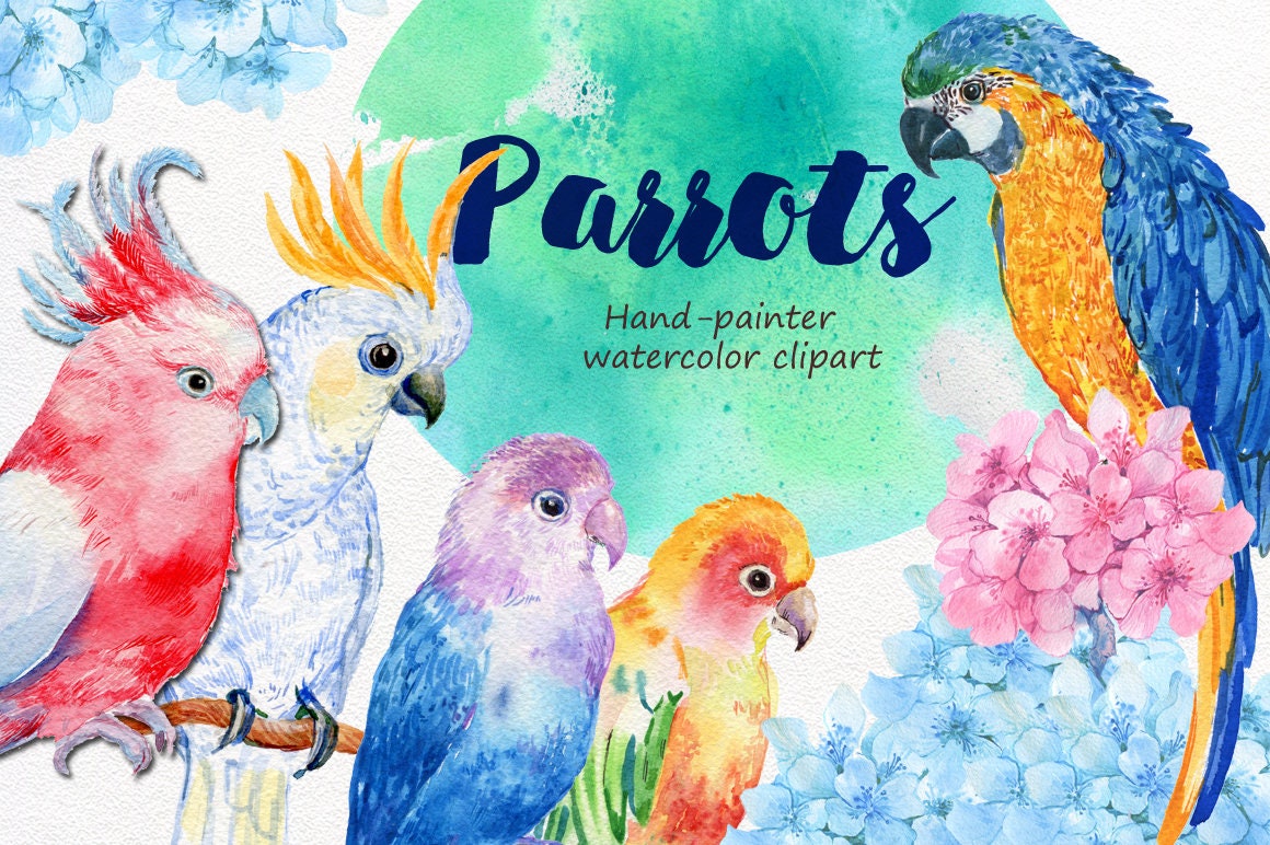Parrotswatercolor Clipart .6 Birds Watercolor Hand Painting - Etsy