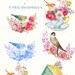 Spring Clipart, Birds, Floral Arrangements, Bird Houses, Decor for ...
