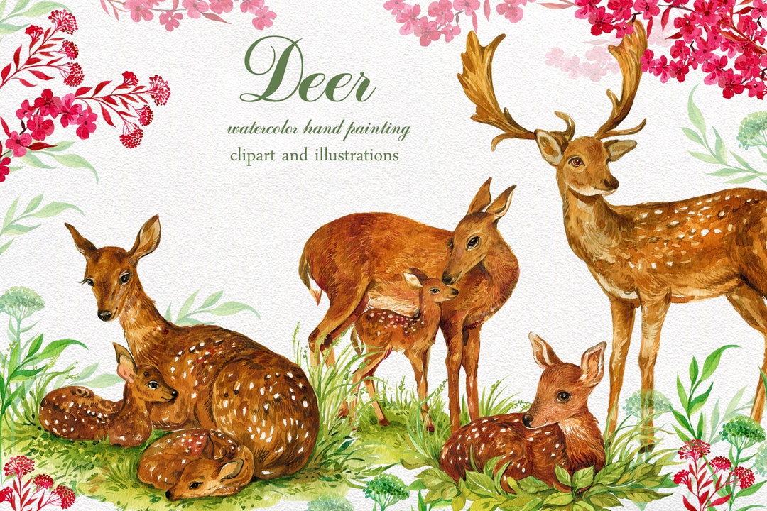 Deer Watercolor Woodland Clipart Illustration. Deer Painting Animal ...