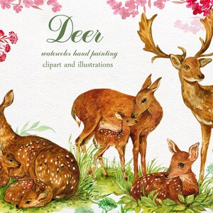 Deer Watercolor Woodland Clipart Illustration. Deer Painting Animal ...