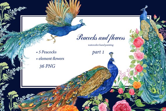 Peacock Clip Artbirds Peacocks Flowers Rose Elements. Birds - Etsy