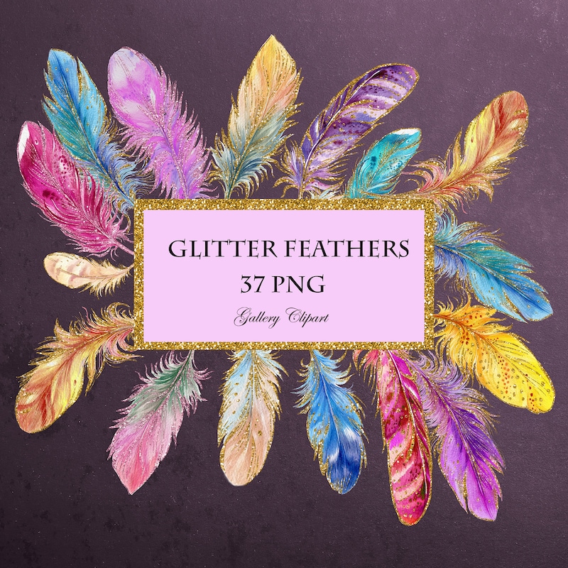 Feathers Clip Art - Etsy