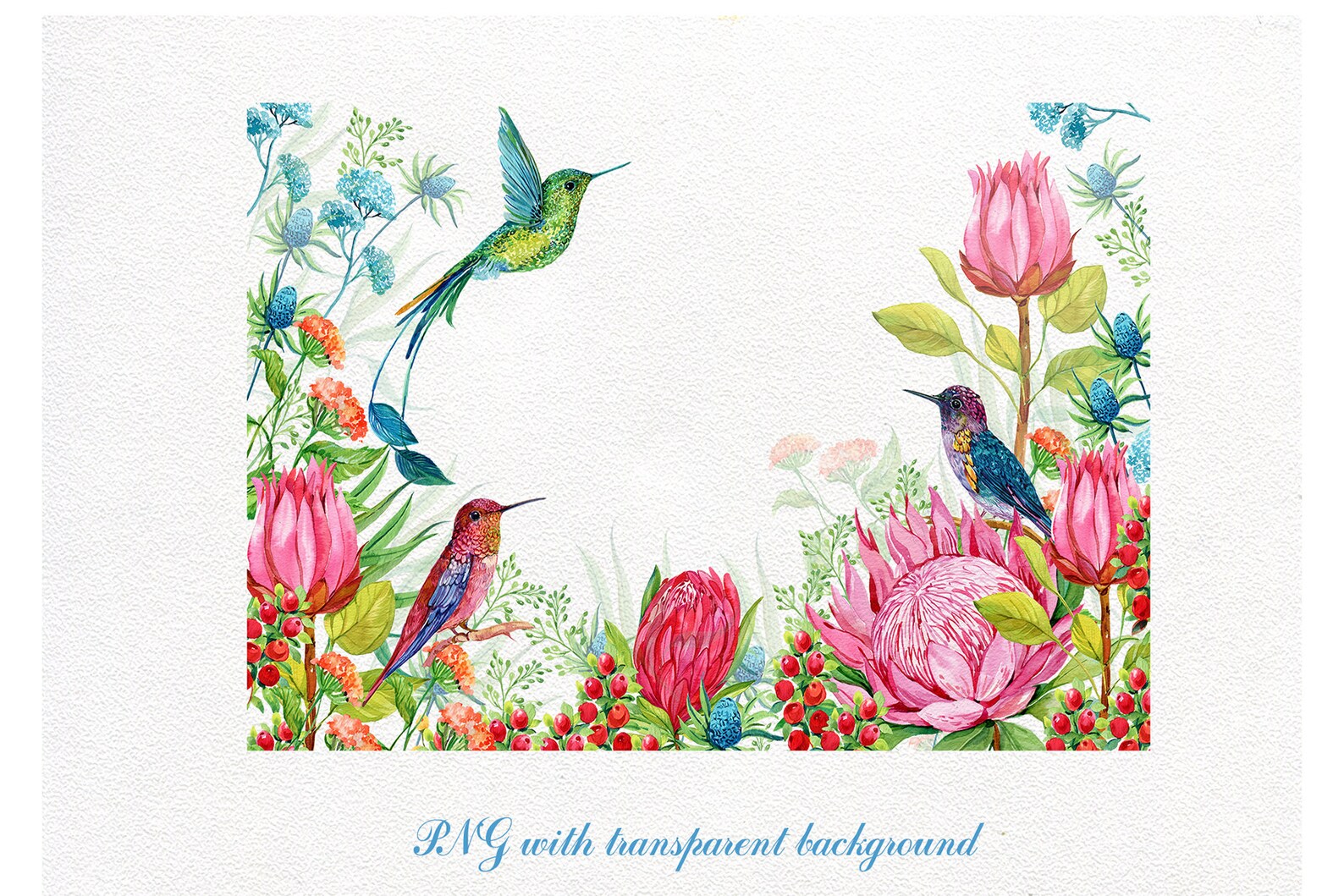 Hummingbirds Exotic Flowers Clipart watercolor Tropical Clip - Etsy